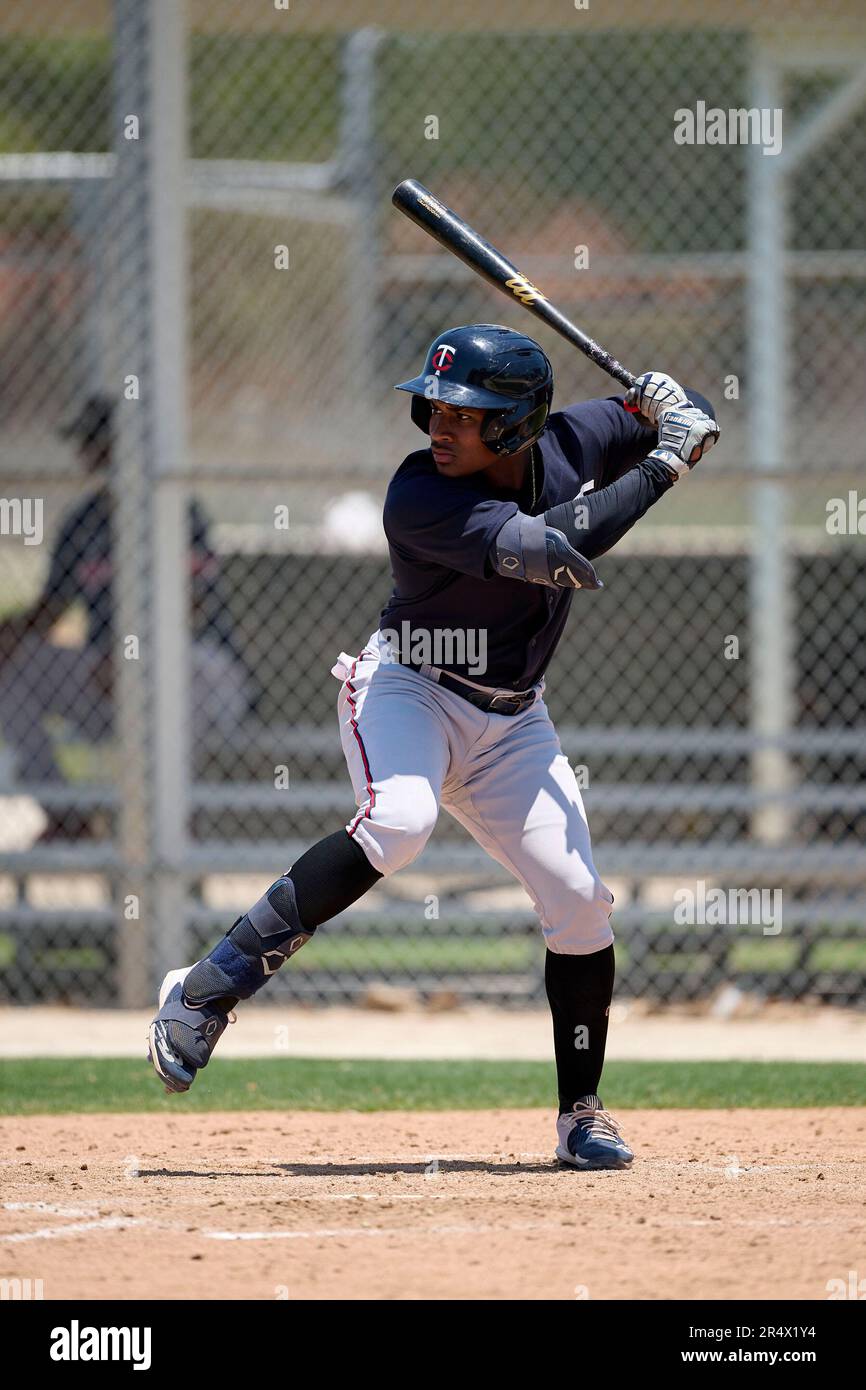 Minnesota Twins Isaac Pena (38) at bat during an Extended Spring ...