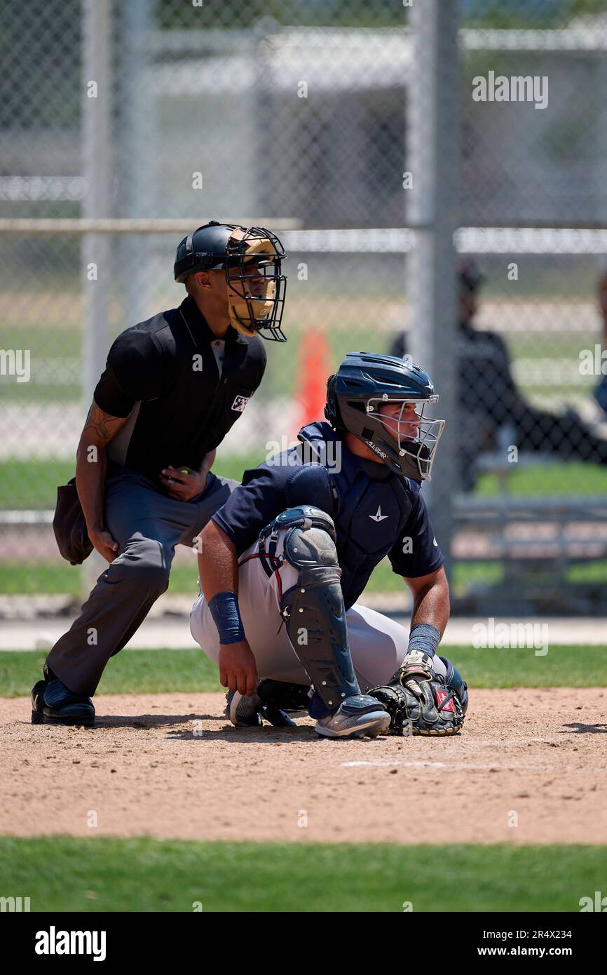 Umpire Sam Glickman and Minnesota Twins catcher Daneil Pena (41) during ...