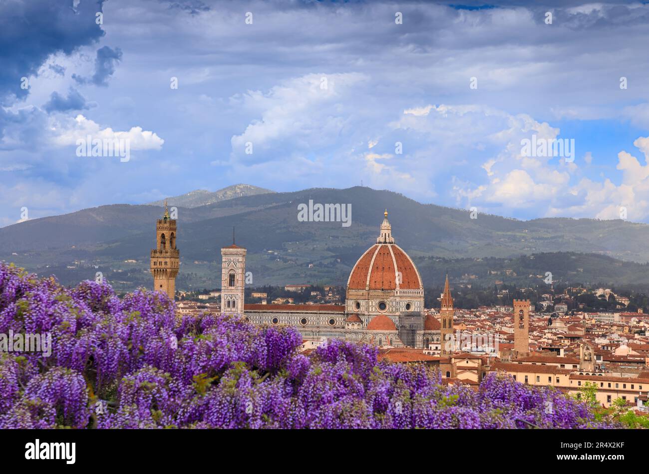Florence spring hi-res stock photography and images - Alamy