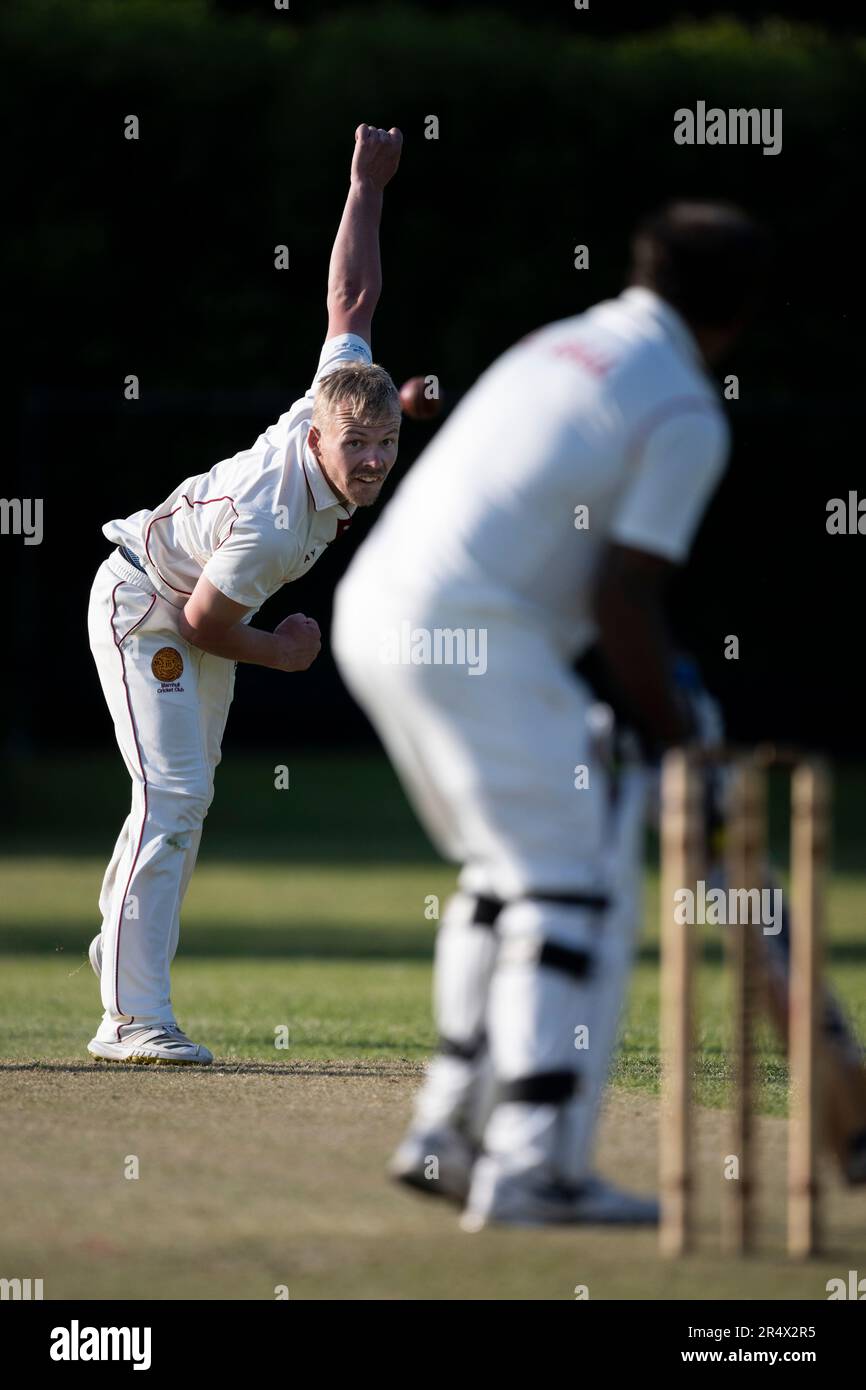 Cricket players team hi-res stock photography and images - Alamy