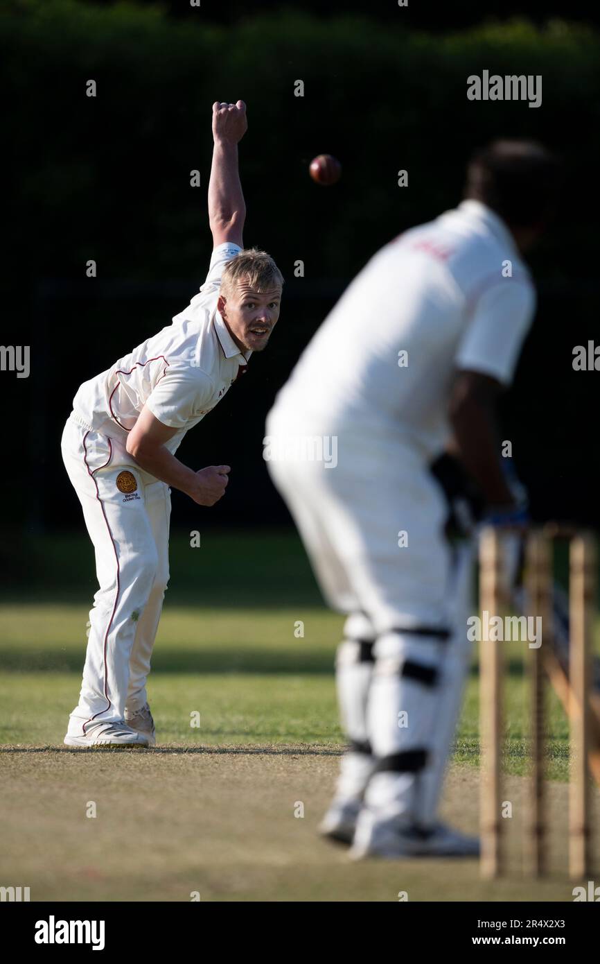 Cricket bowler in action Stock Photo - Alamy