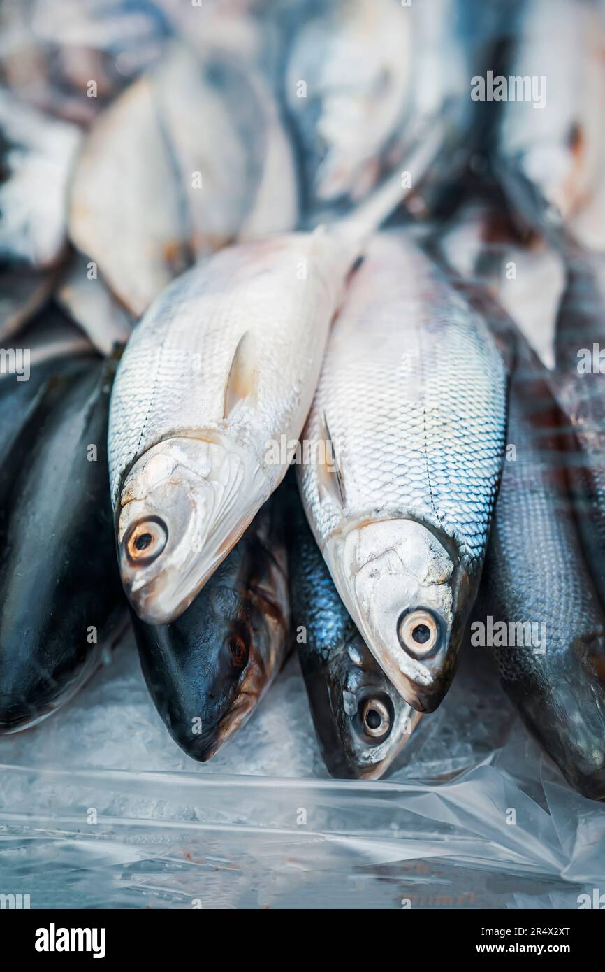 Supermarket fish display hi-res stock photography and images - Alamy