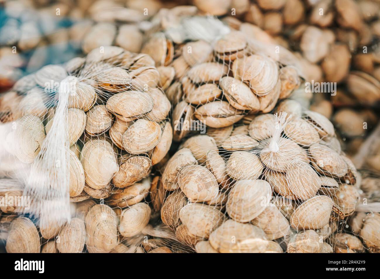 Clams packaged in nets for sale in store of seafood. Seafood sale in ...