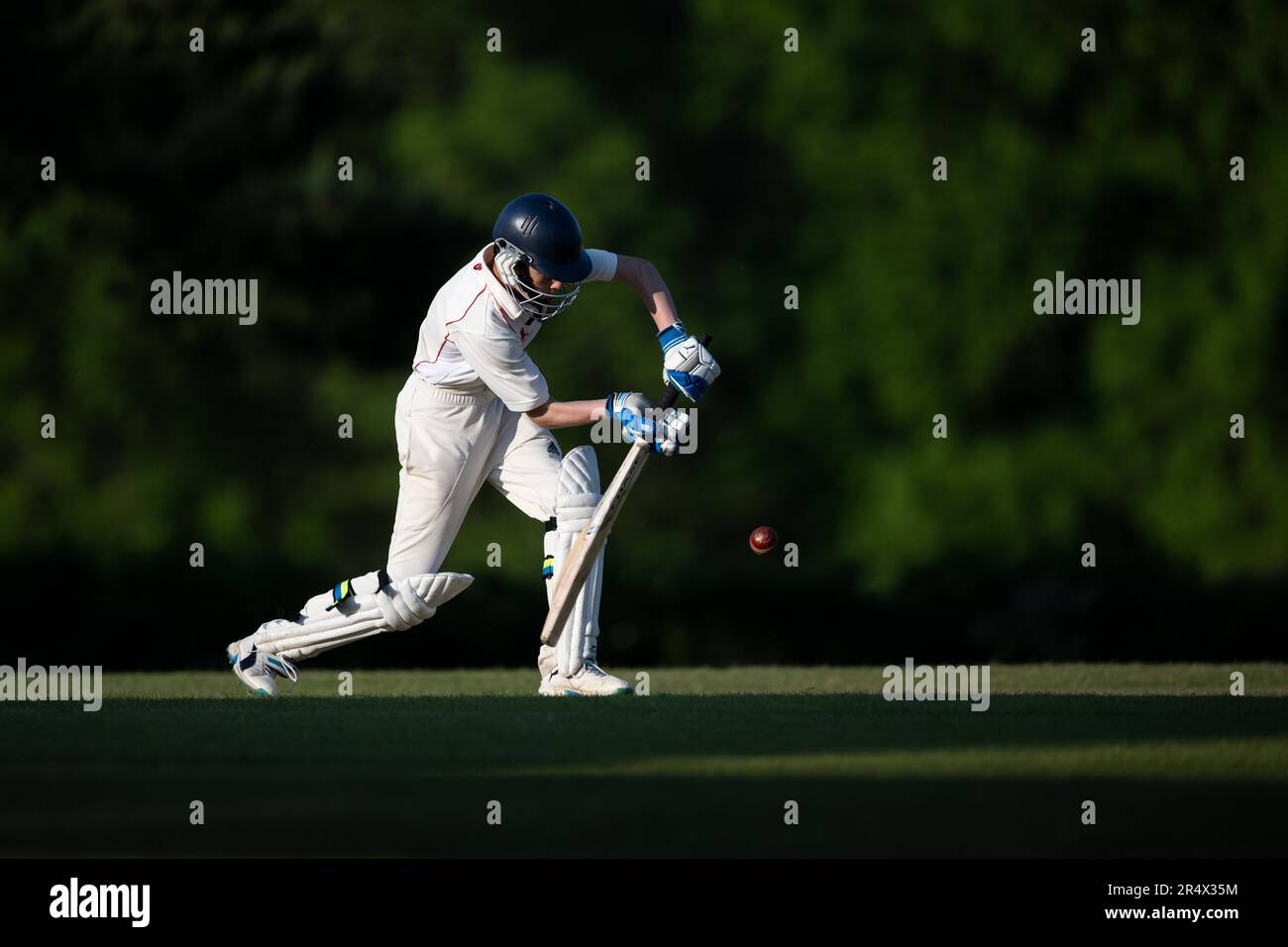 Cricket batsman hitting four runs Stock Photo - Alamy