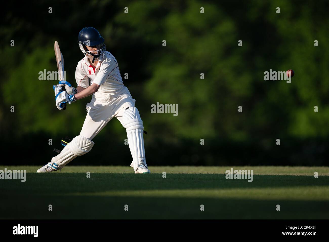 Cricket face hi-res stock photography and images - Alamy