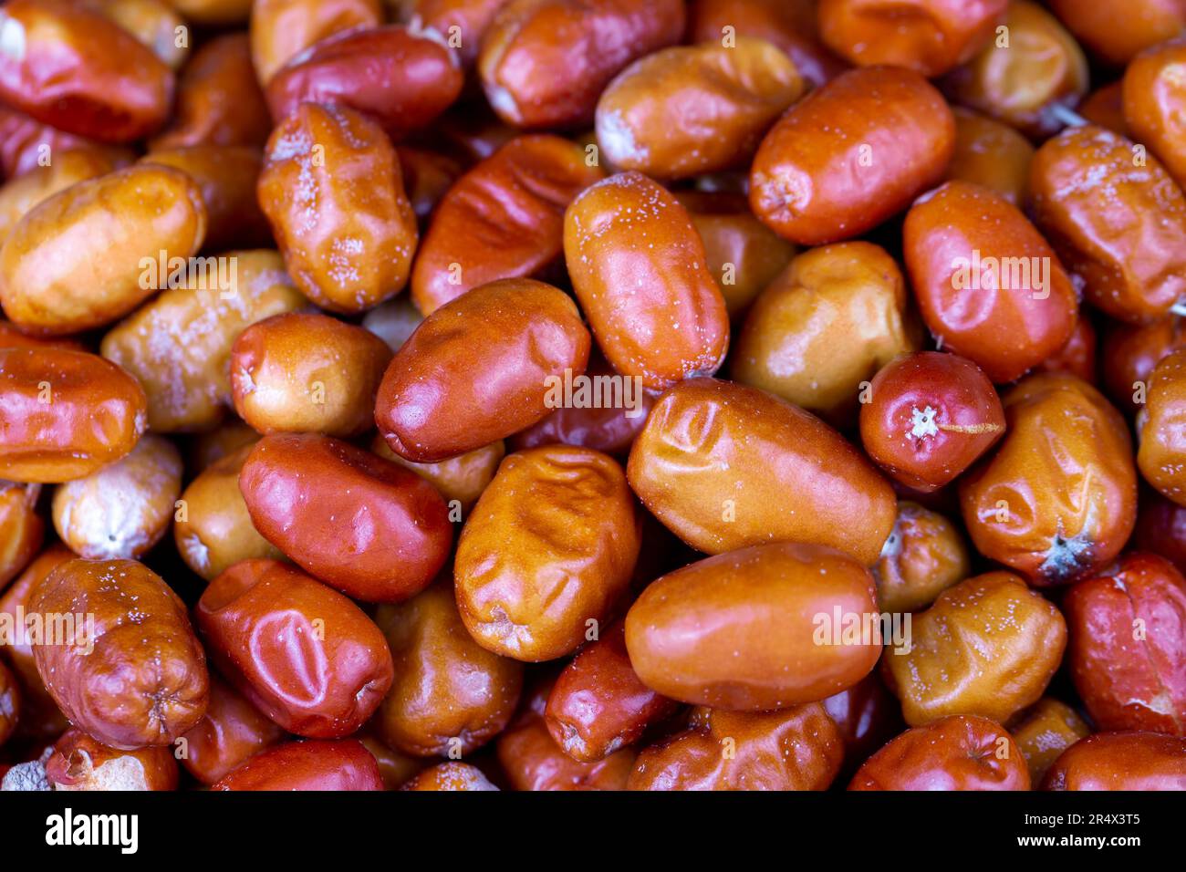 Silverberry tree hi-res stock photography and images - Alamy