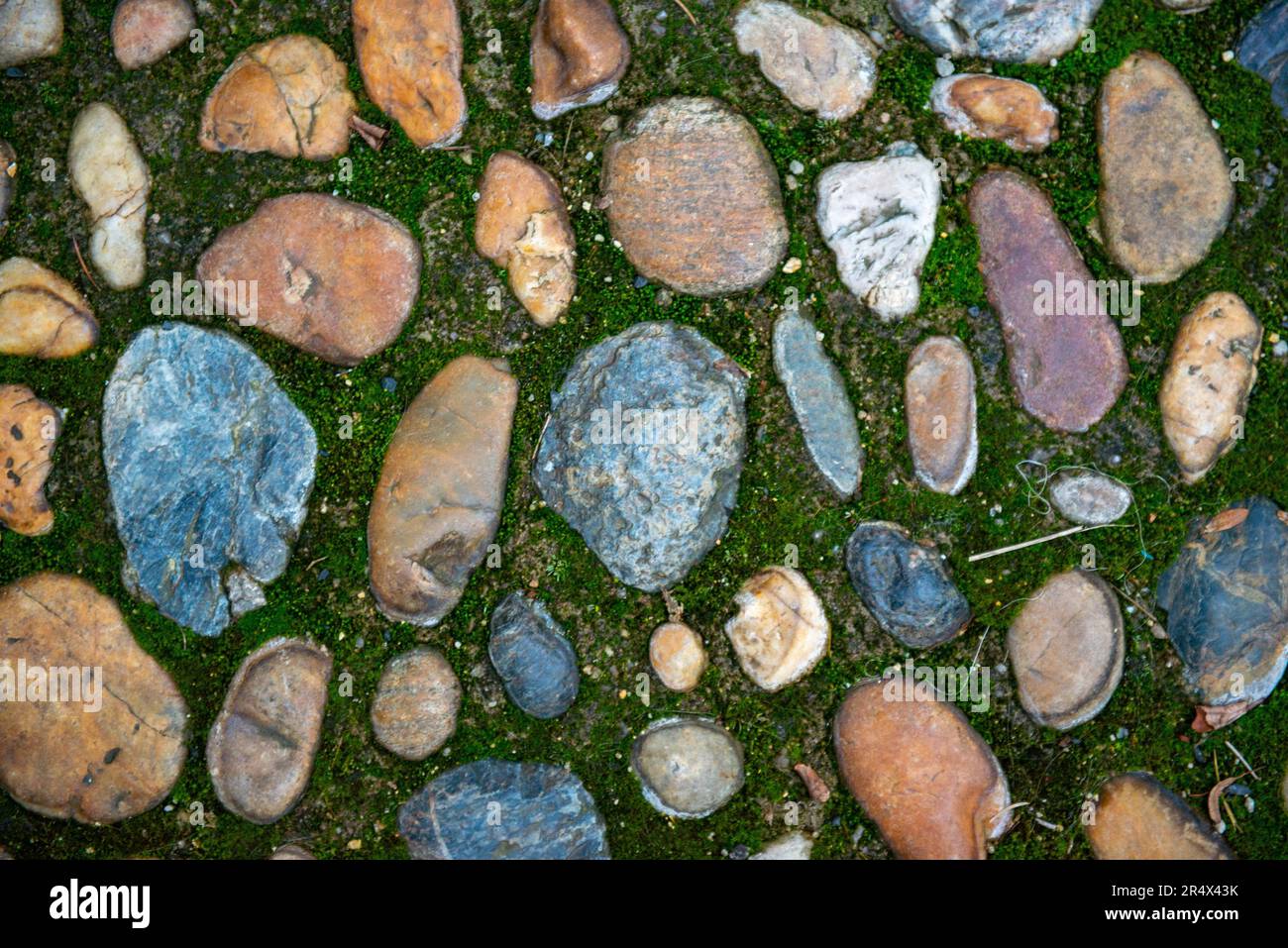 many colored stones of different sizes on the green grass Stock Photo ...