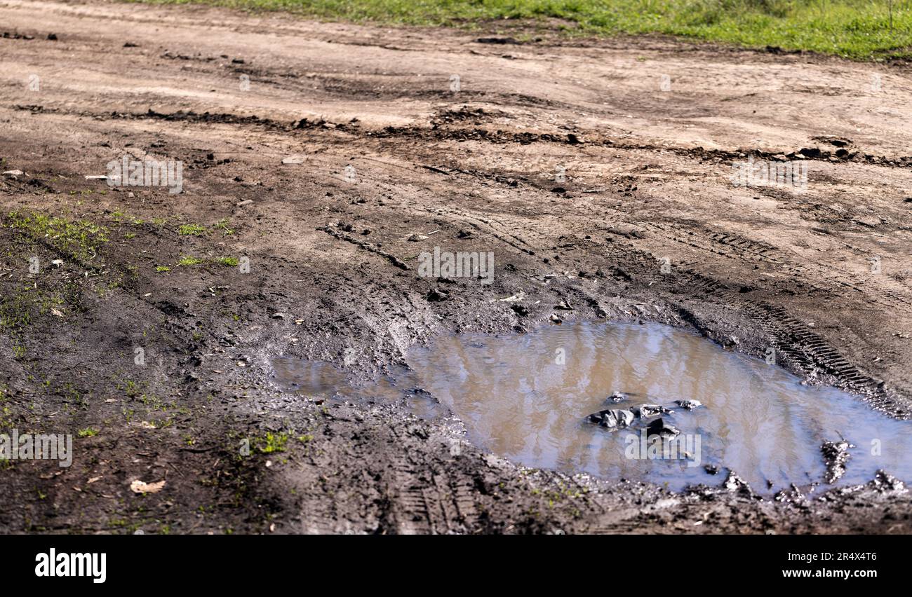 Dirty country road with large puddles after rain. Dirt road after heavy ...
