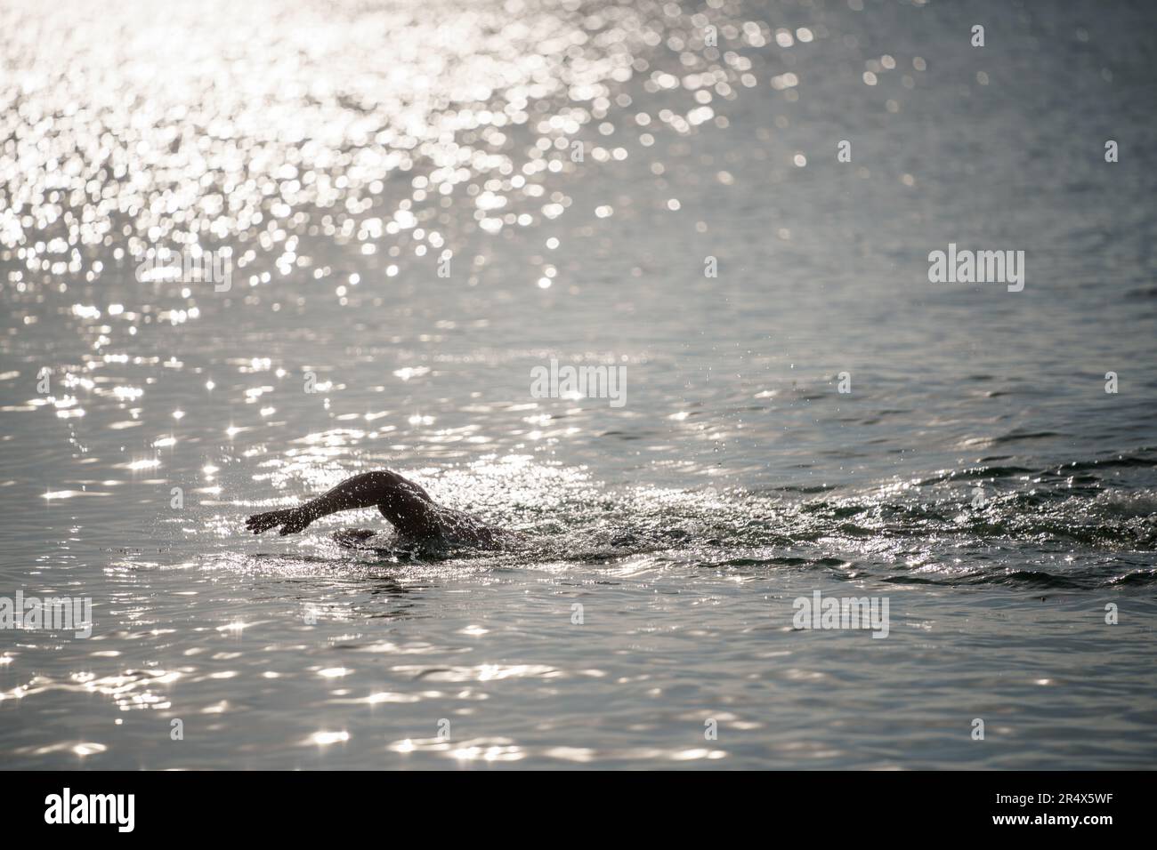 Bald man swimming hi-res stock photography and images - Alamy