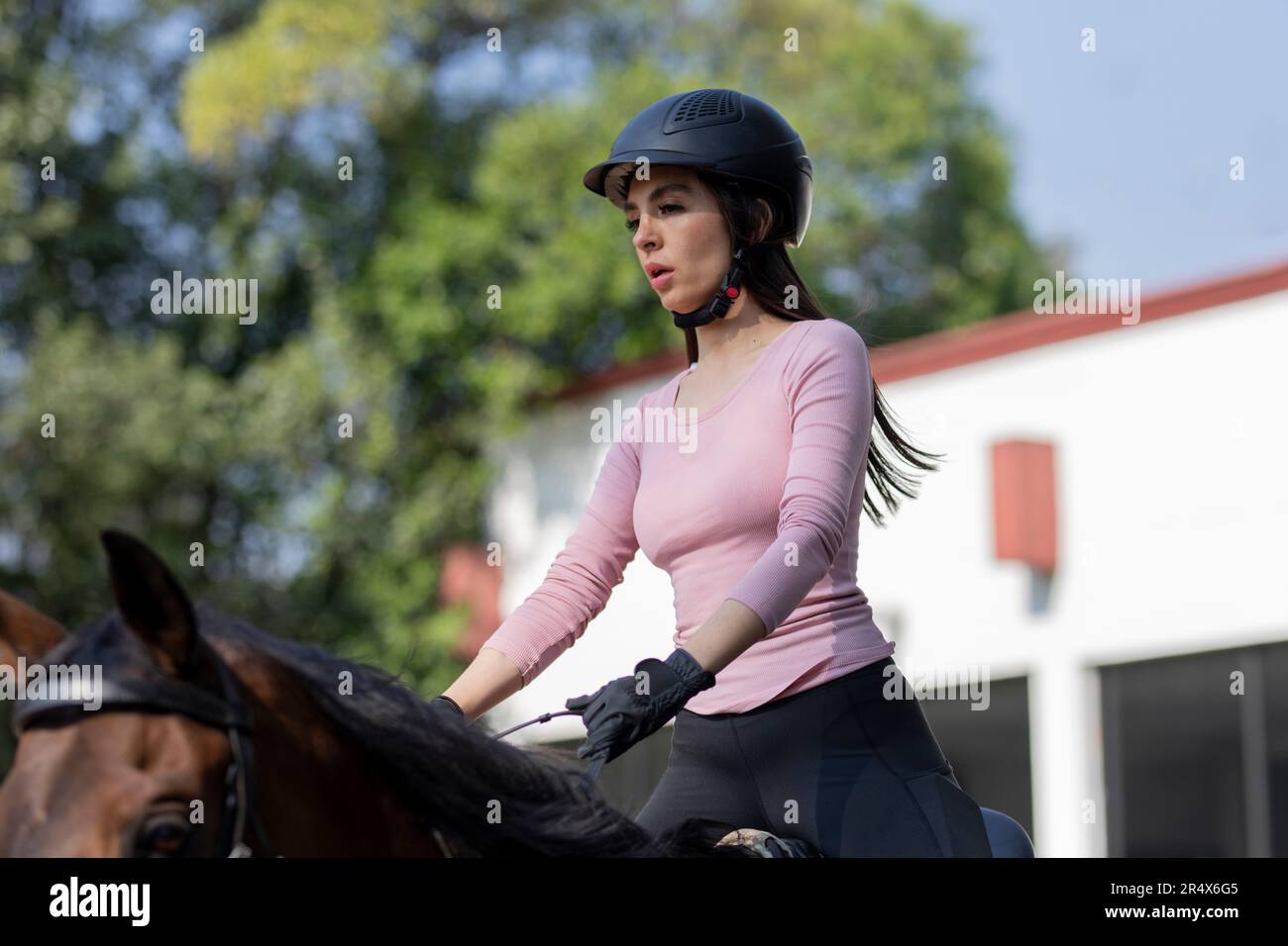 Close up on a young woman riding a horse in an equestrian center Stock ...