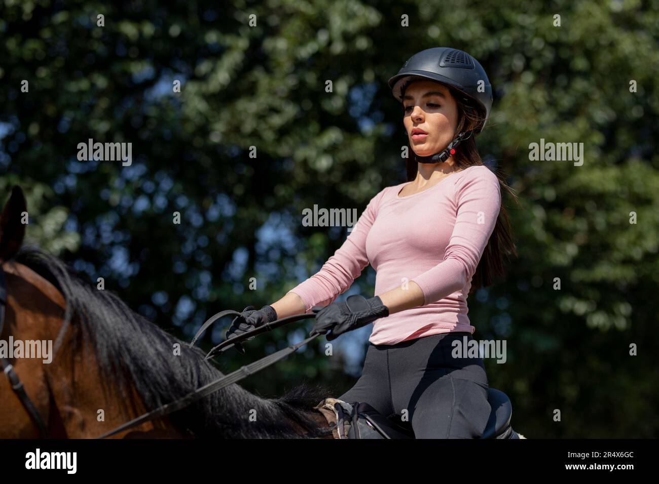 Female rider with helmet riding a horse in an equestrian center Stock ...