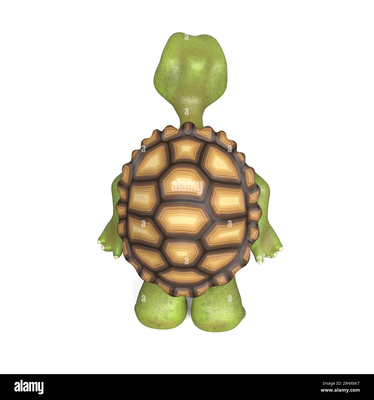 turtle cartoon rear view, 3d illustration Stock Photo - Alamy