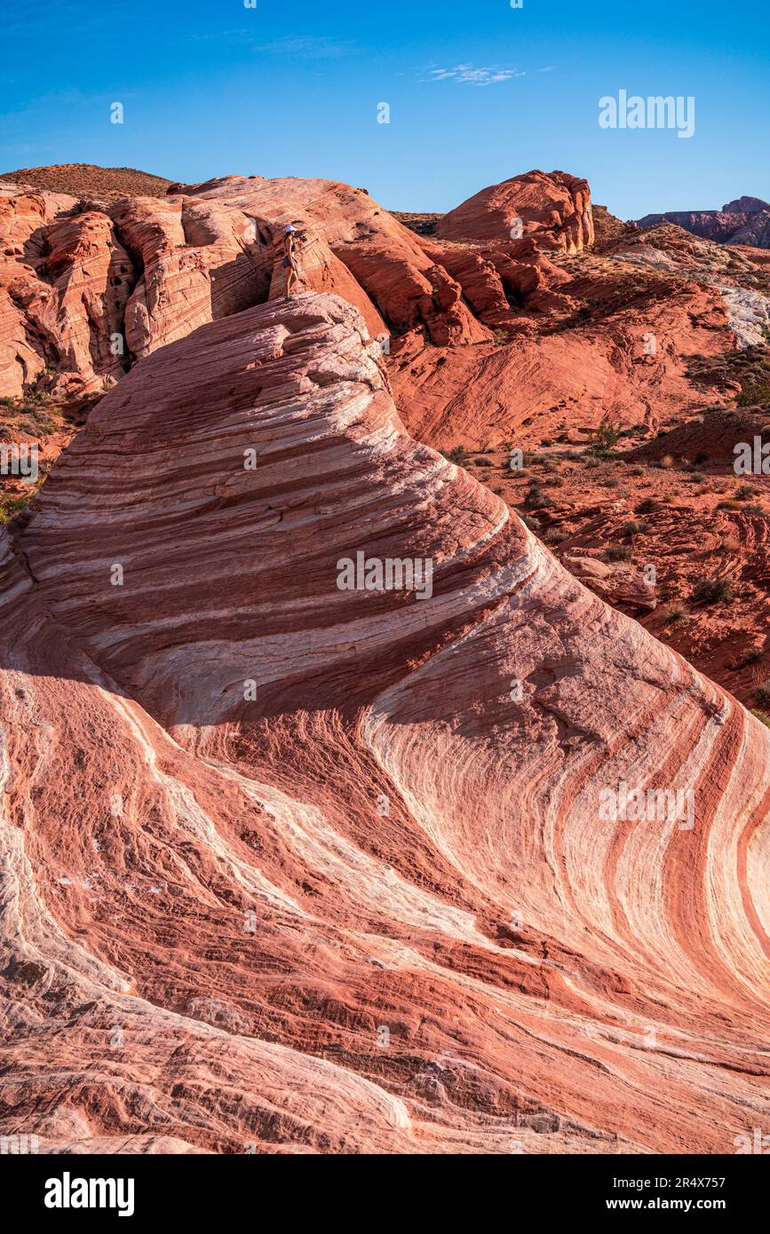 Vast landscape of sandstone rock in the Valley of Fire State Park ...