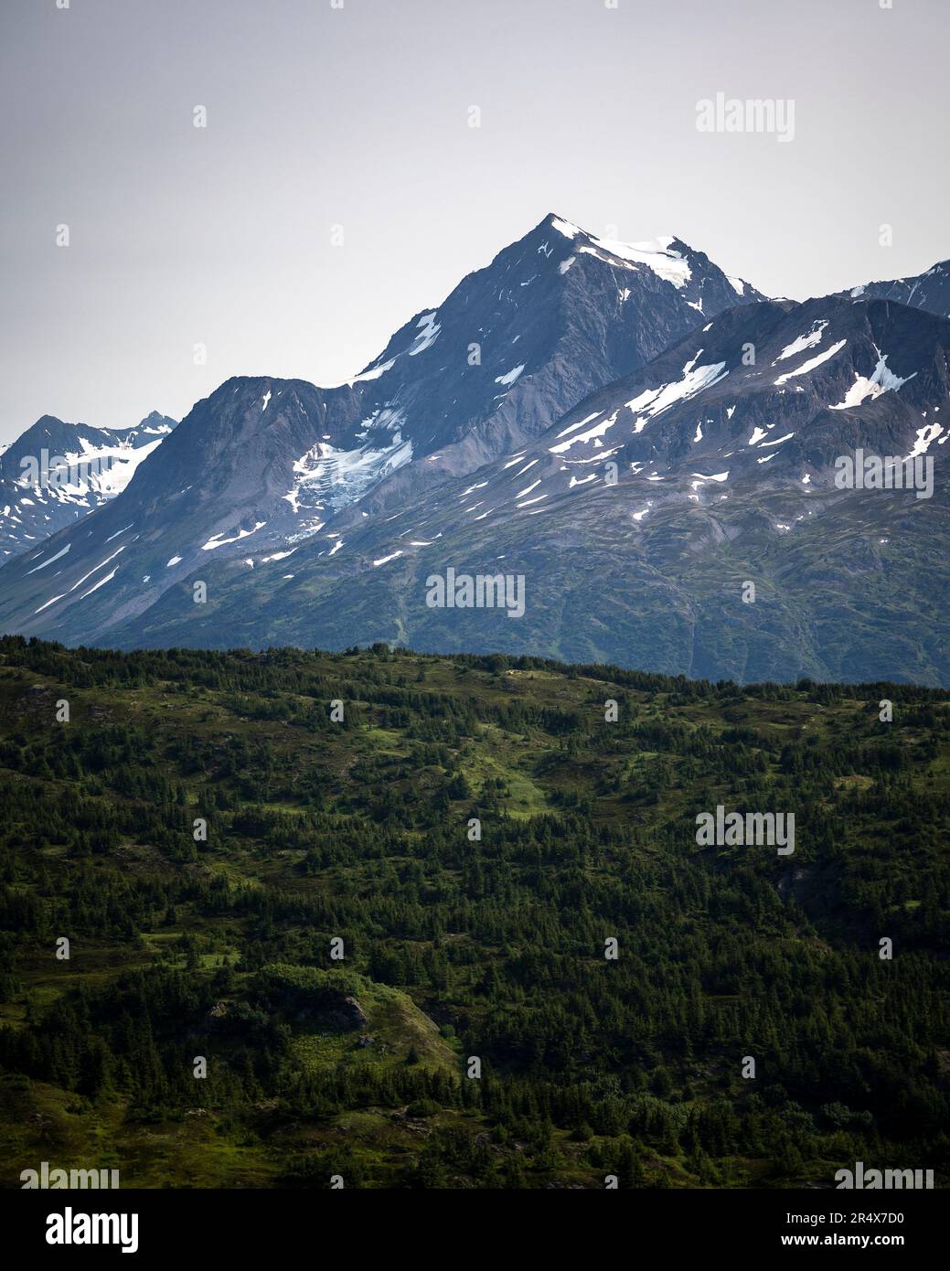 View overlooking the majestic Kenai Mountains rising above the Chugach ...