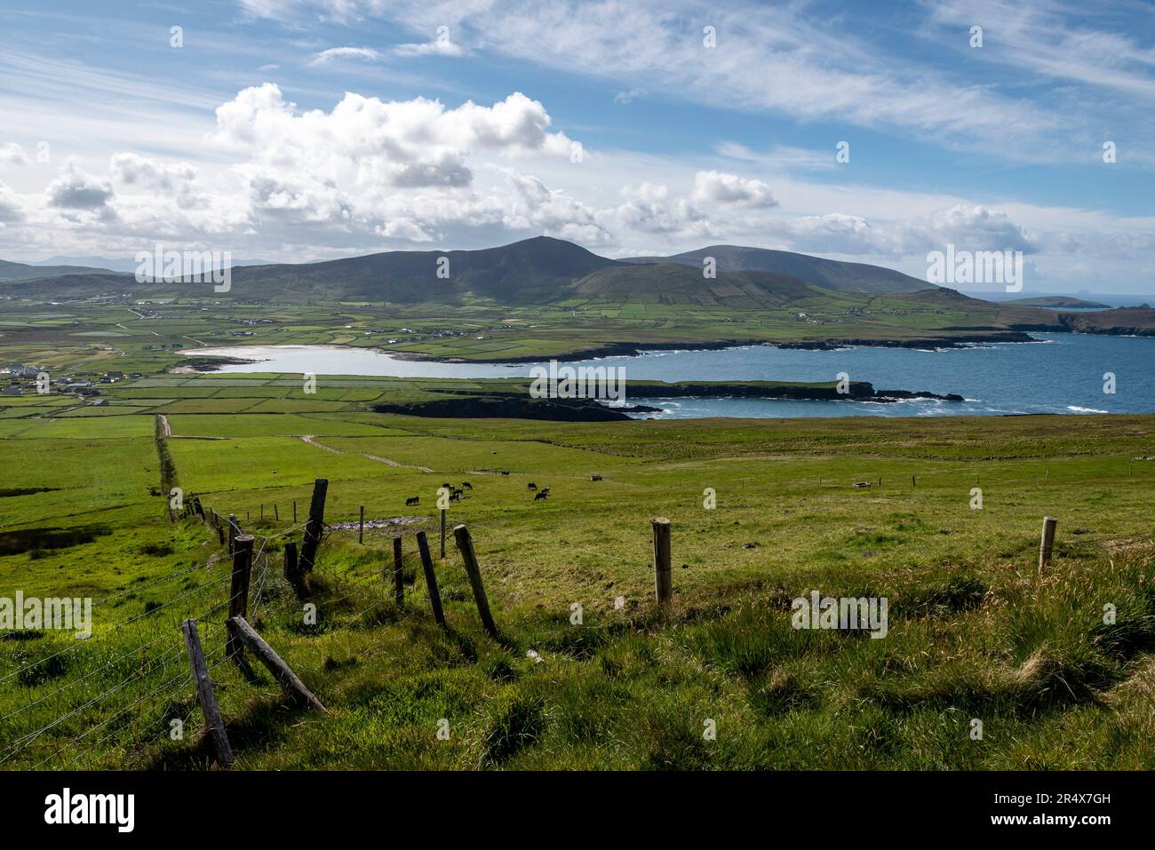 Sybil head kerry hi-res stock photography and images - Alamy