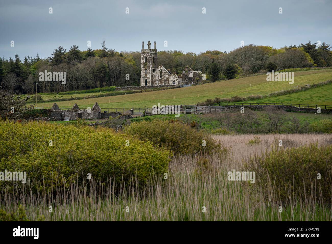 Old ruins of Castlefreke Church (Rathbury Church) along Long Strand ...