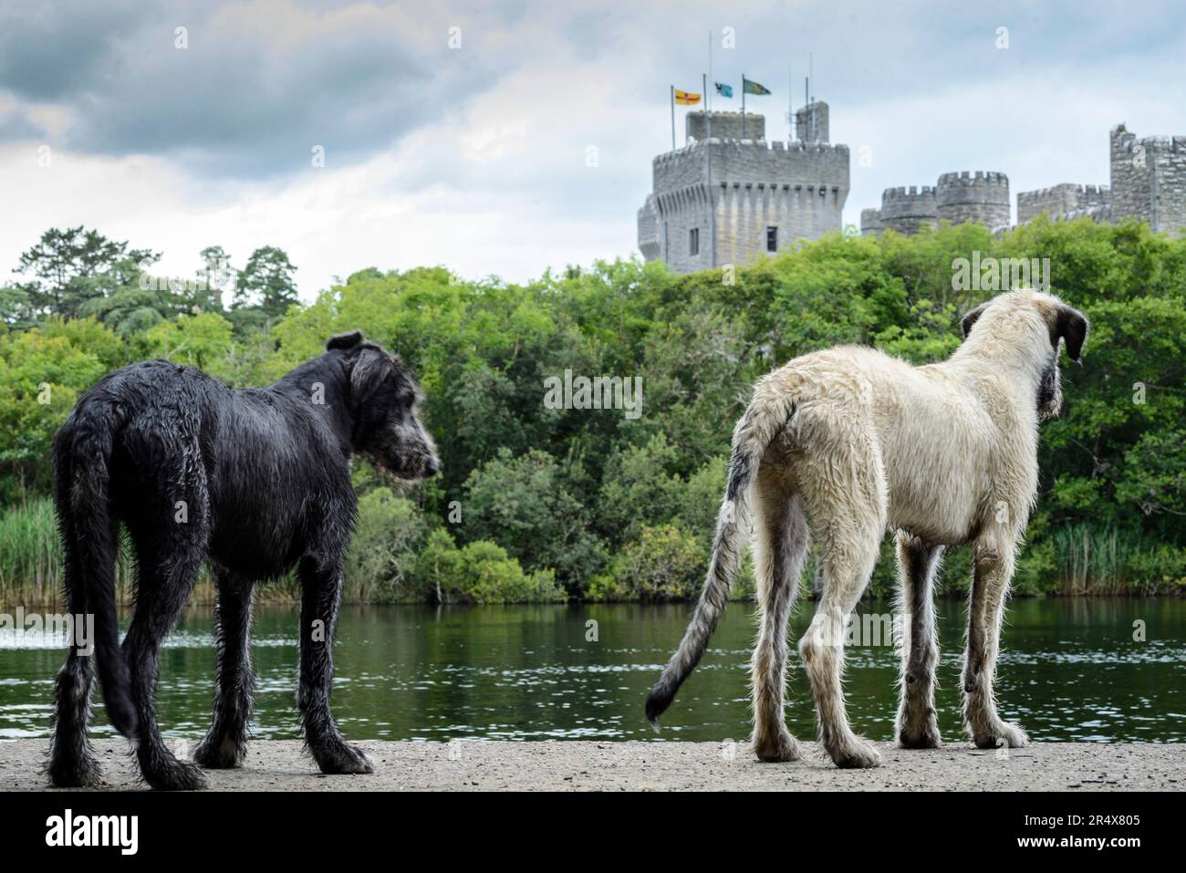 Ashford castle hi-res stock photography and images - Alamy