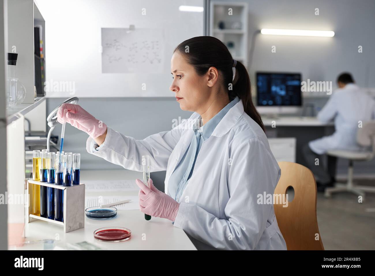 Side view portrait of female scientist doing tests at workstation in ...