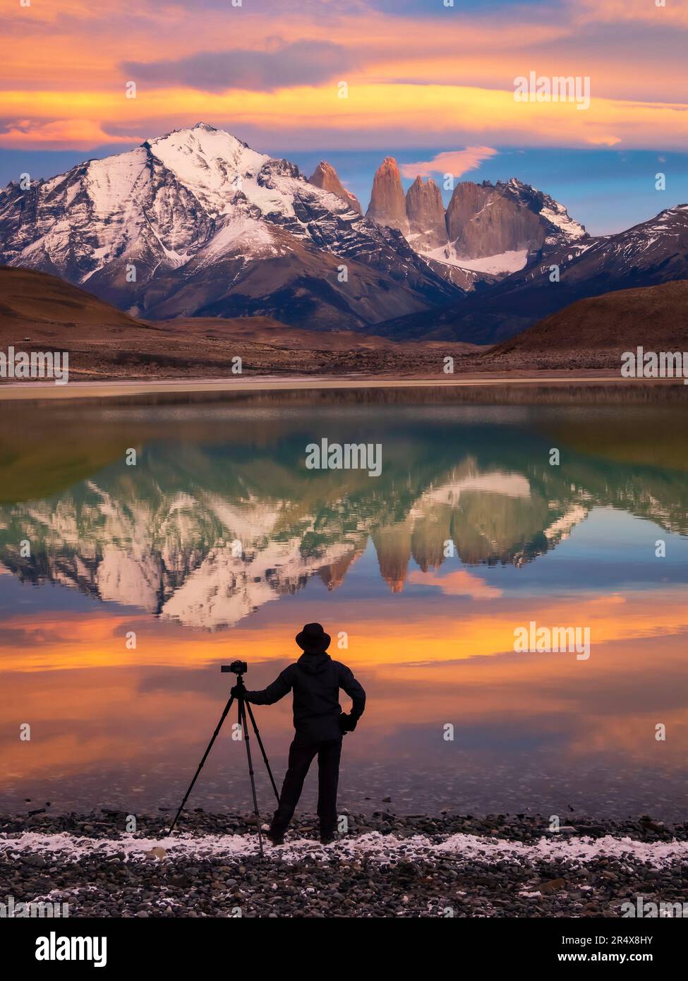 Puma azul hi-res stock photography and images - Alamy