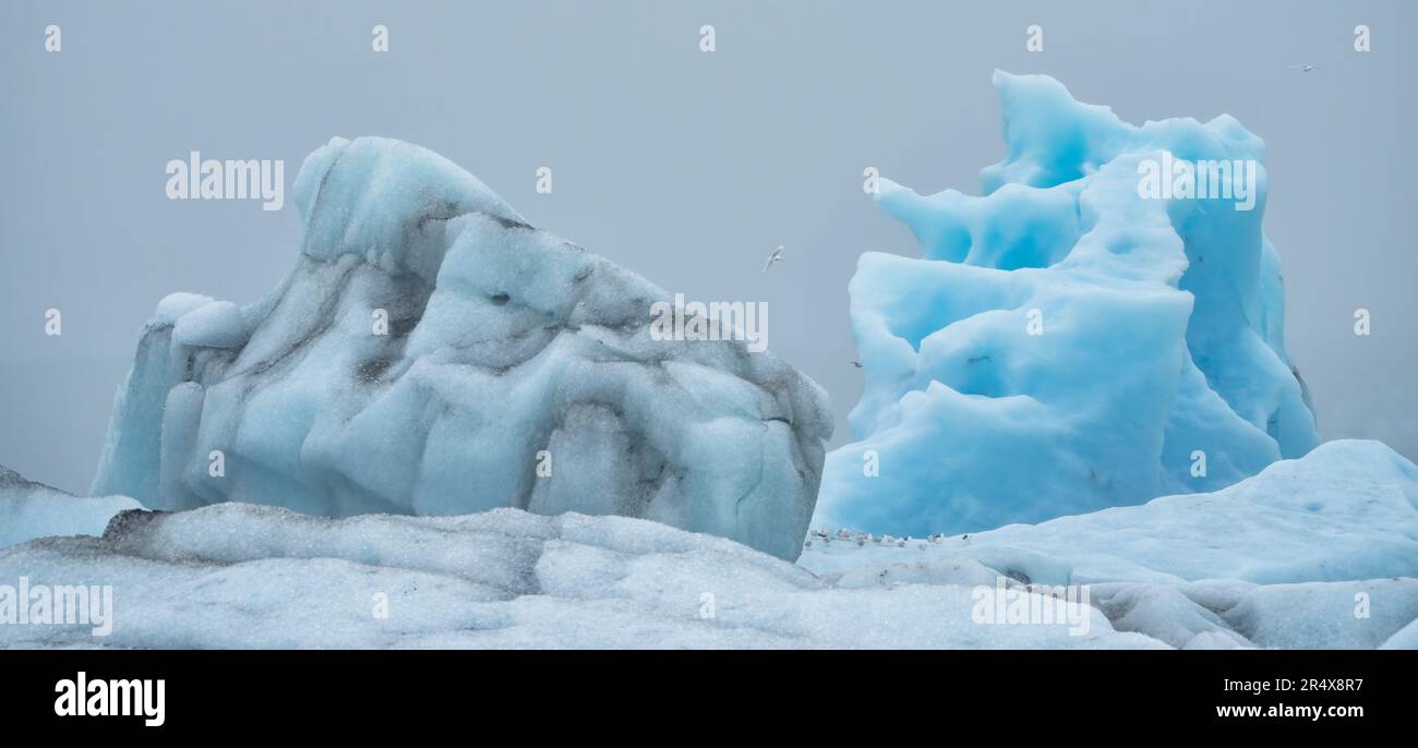 Close-up of beautiful icebergs and amazing, blue ice-formations and ...