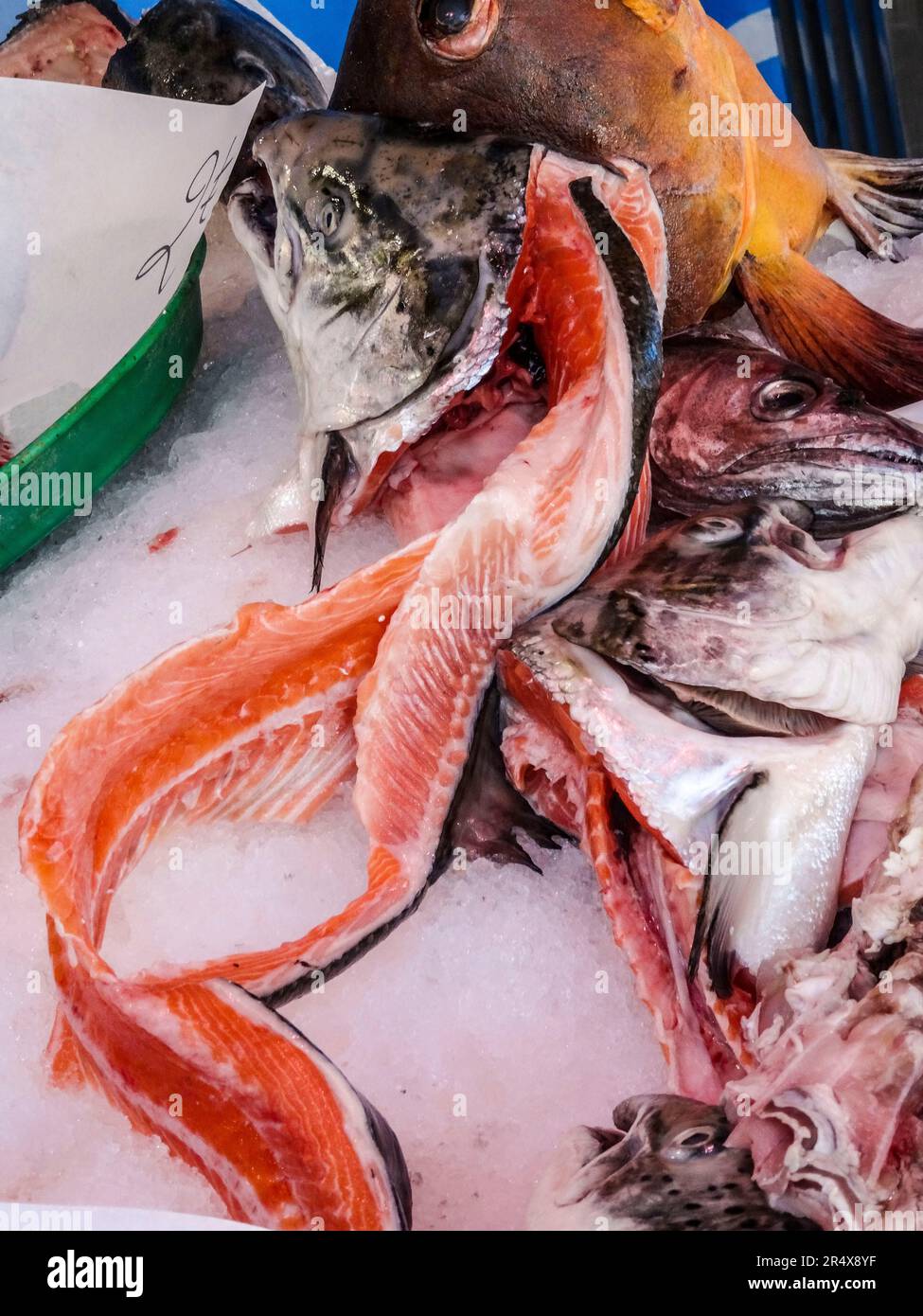 Operculum fish hi-res stock photography and images - Alamy