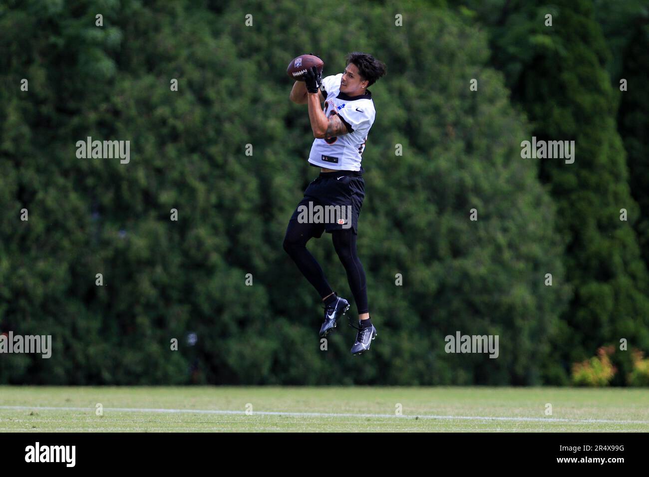 Cincinnati Bengals' Andrei Iosivas makes a catch during a practice at the NFL football team's ...