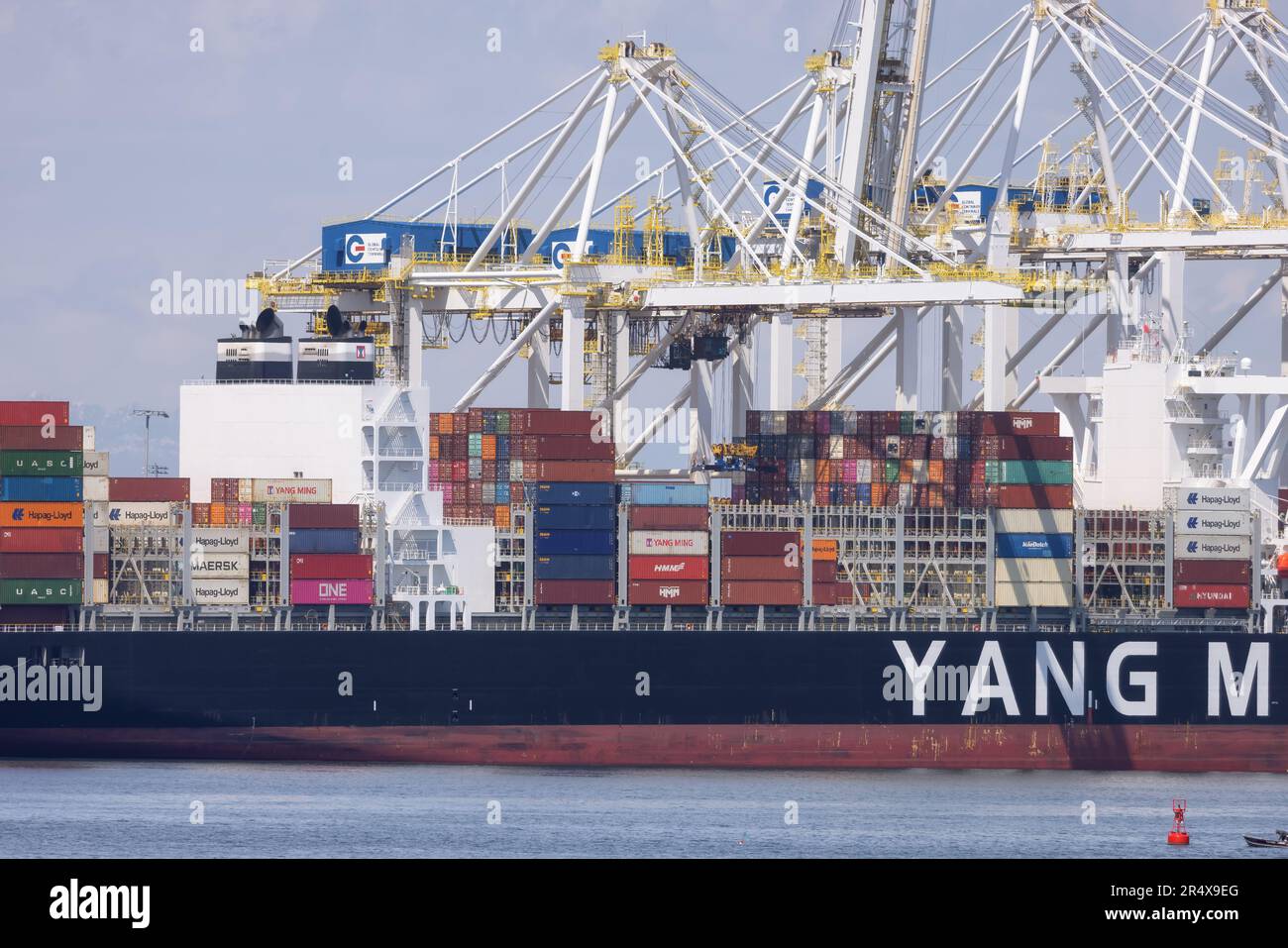 Container Ship at the Port being loaded for shipment Stock Photo - Alamy