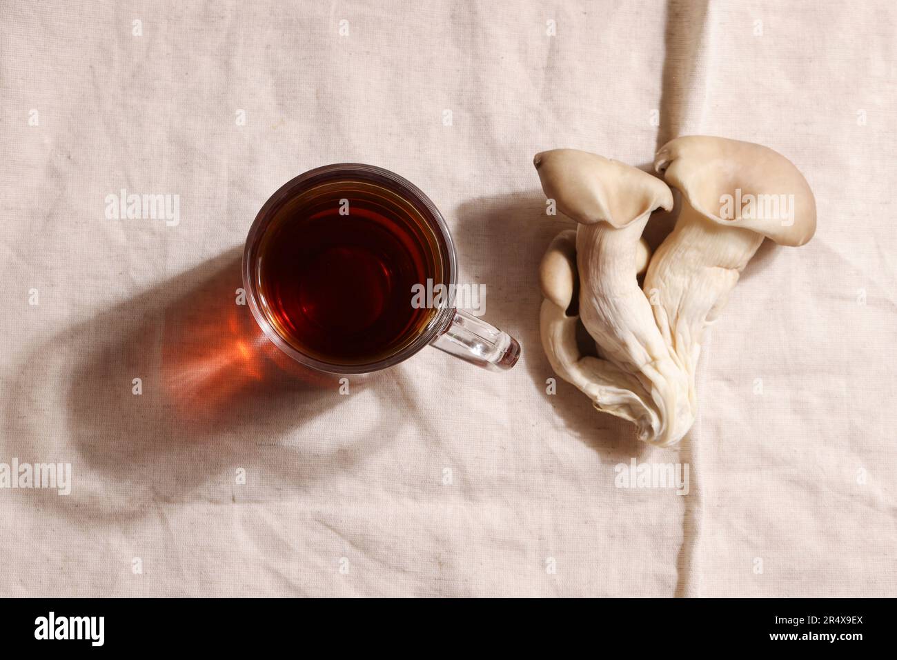 Natural medicine, reduce stress and improve immunity concept. Mushroom ...