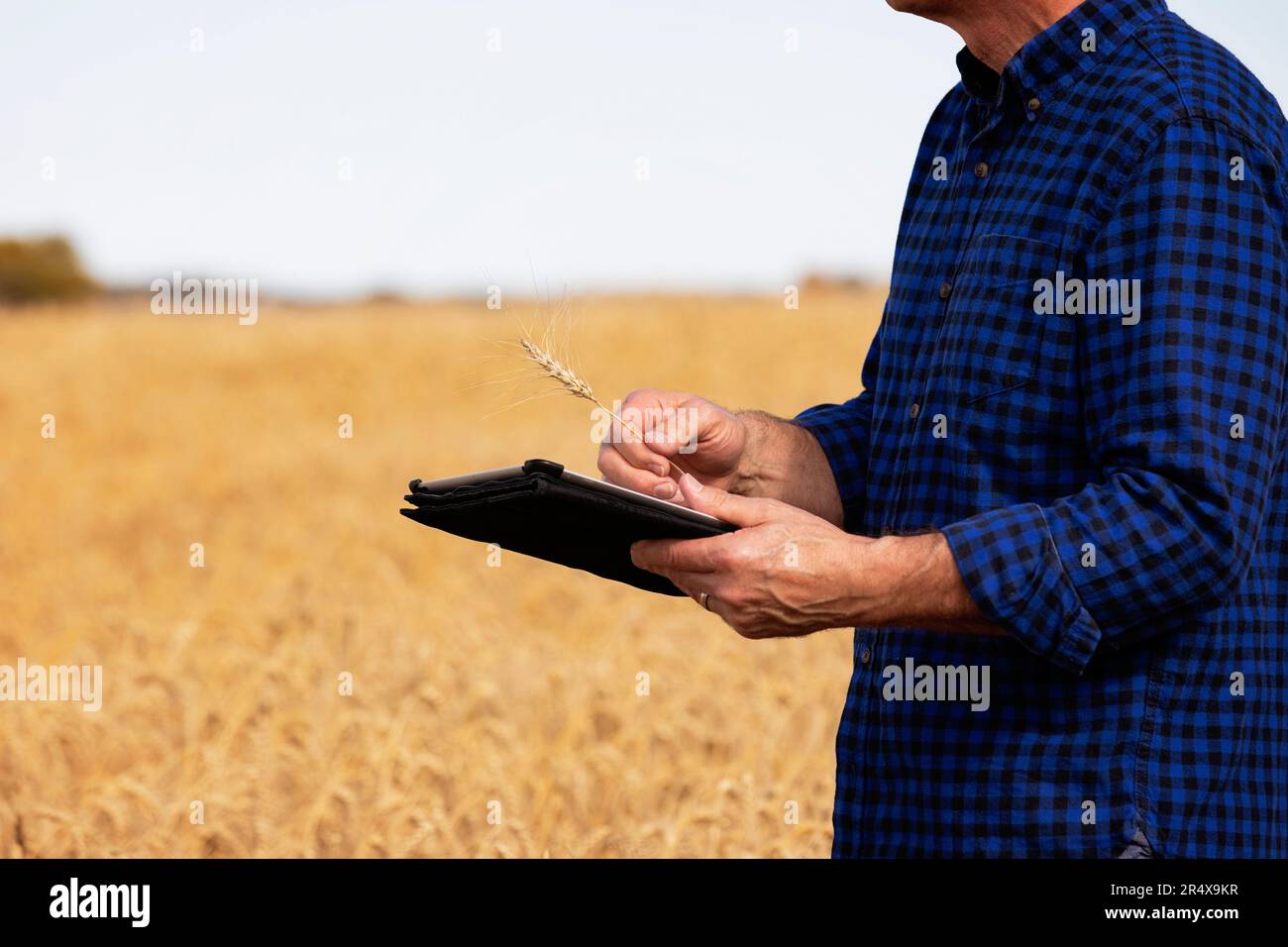 Farmer out checking on hi-res stock photography and images - Alamy