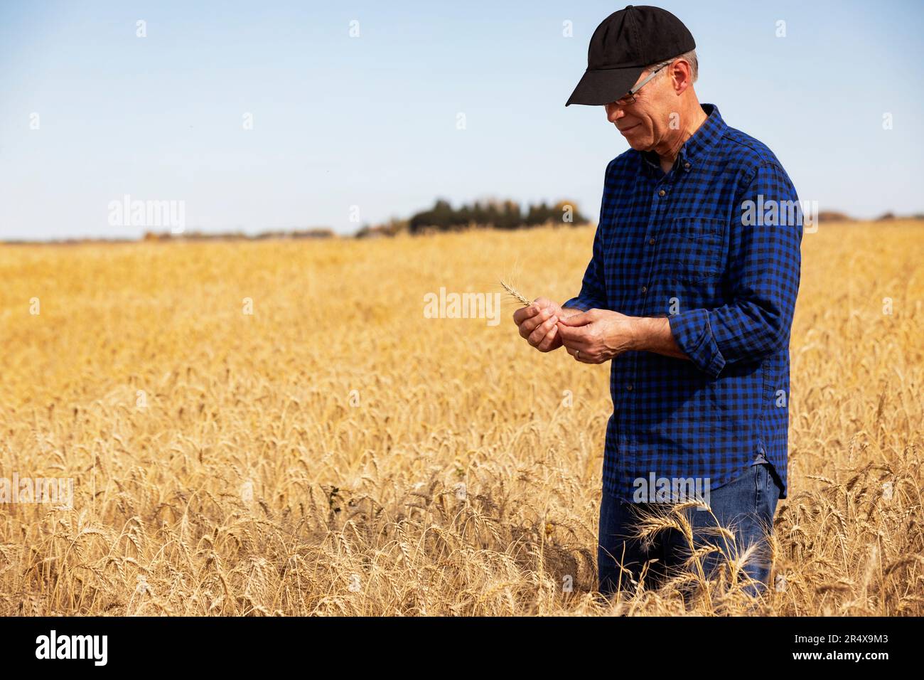Sampling image hi-res stock photography and images - Alamy