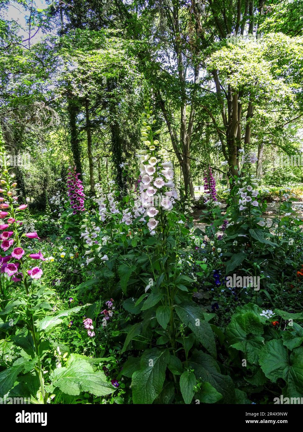 View around / in the glorious public Parc floral de Pari, France, in ...