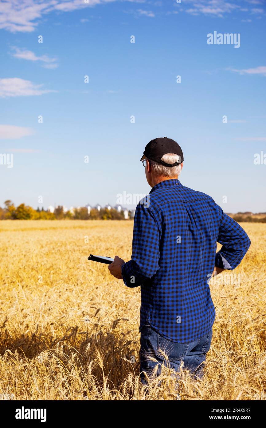 Farmer using a tablet to manage his harvest while standing in a fully ...