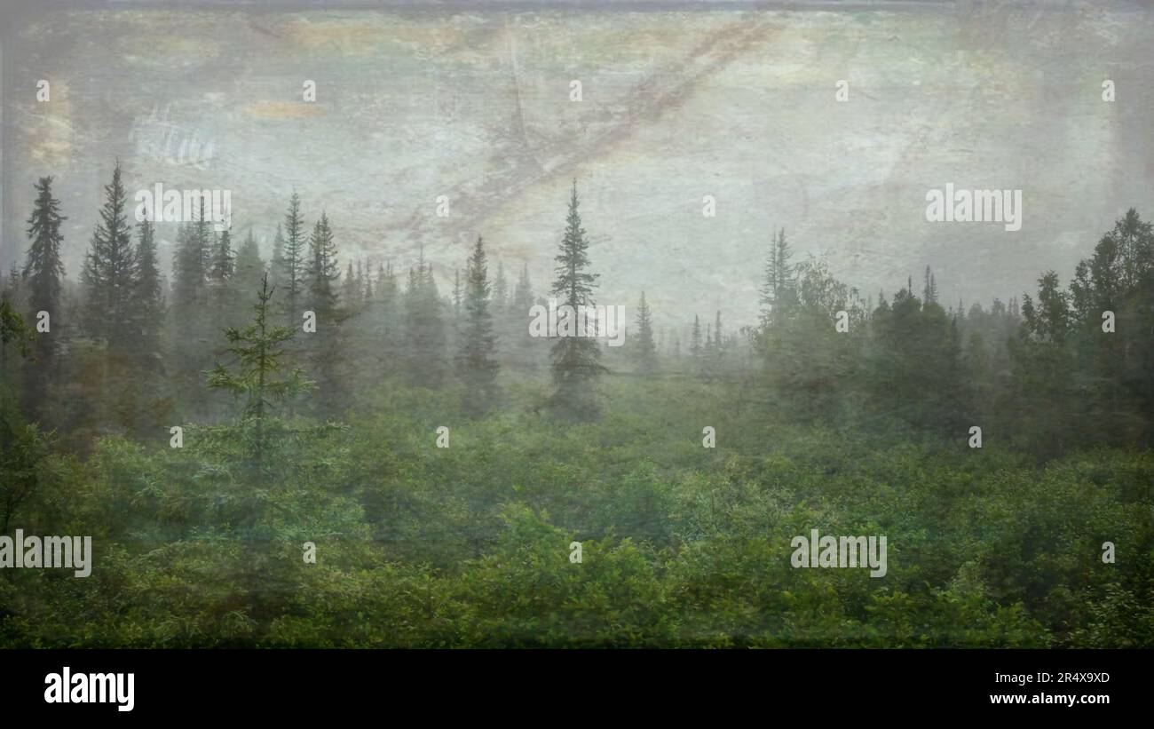 Scenic landscape of trees reflection in calm lake water for graphic ...