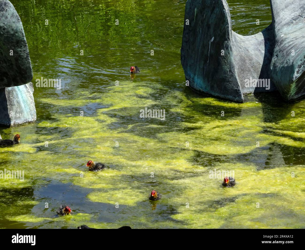 View around / in the glorious public Parc floral de Pari, France, in ...