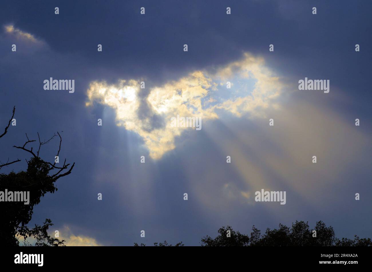Sunrays filtering hi-res stock photography and images - Alamy