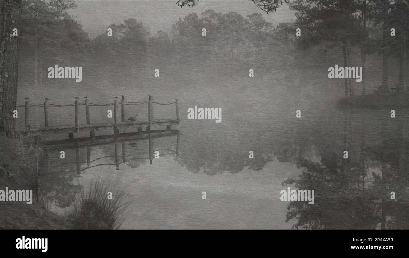 Scenic landscape of trees reflection in calm lake water for graphic ...