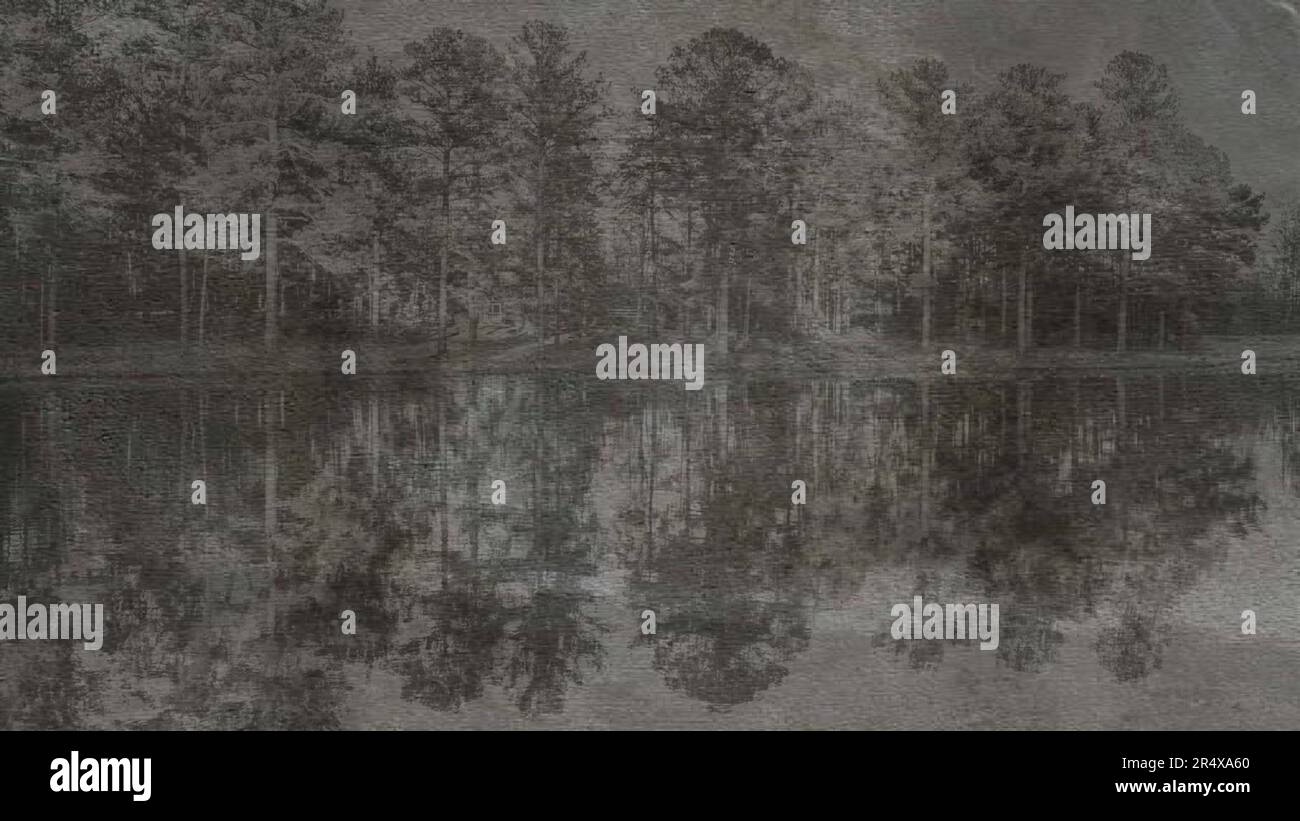 Scenic landscape of trees reflection in calm lake water for graphic ...