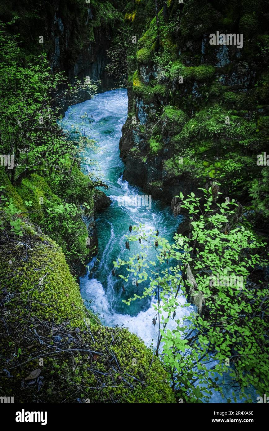 Little Qualicum Falls Provincial Park, Vancouver Island, British ...