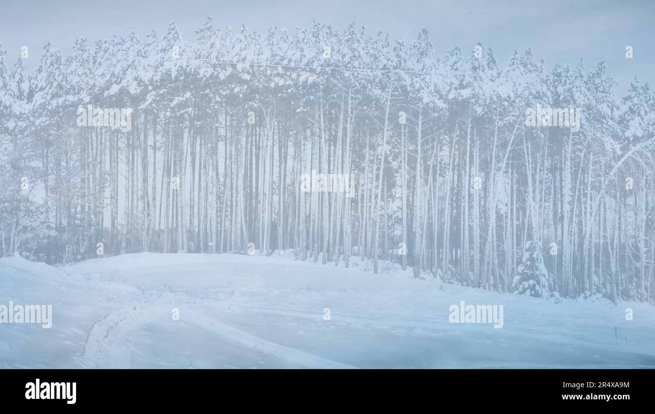 Graphic resources template slide of snowy winter trees and blue sky ...