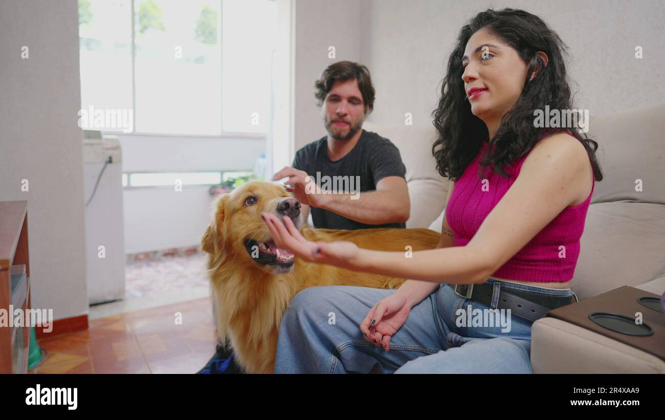 Happy female Dog owner playing with her pet indoors with ball ...