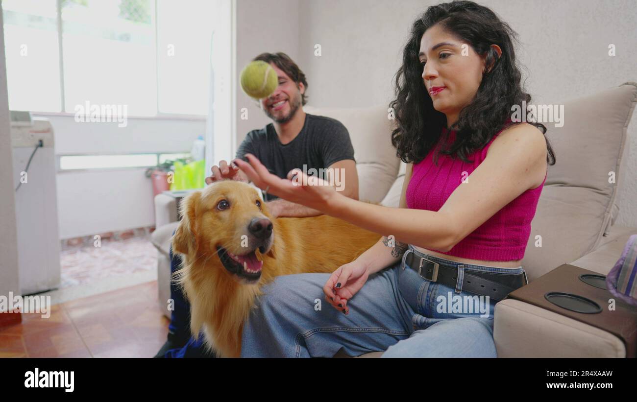 Happy female Dog owner playing with her pet indoors with ball ...