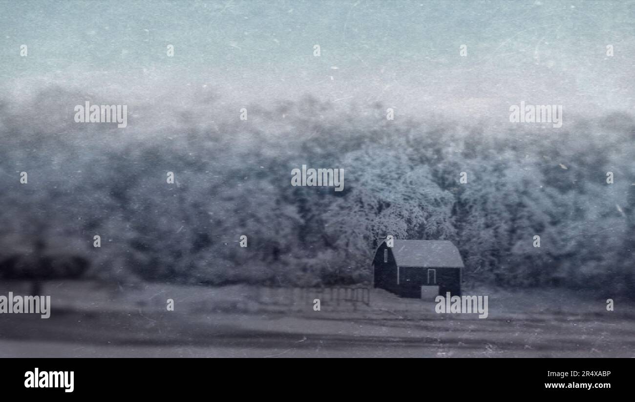 Graphic resources template slide of snowy winter trees and blue sky ...