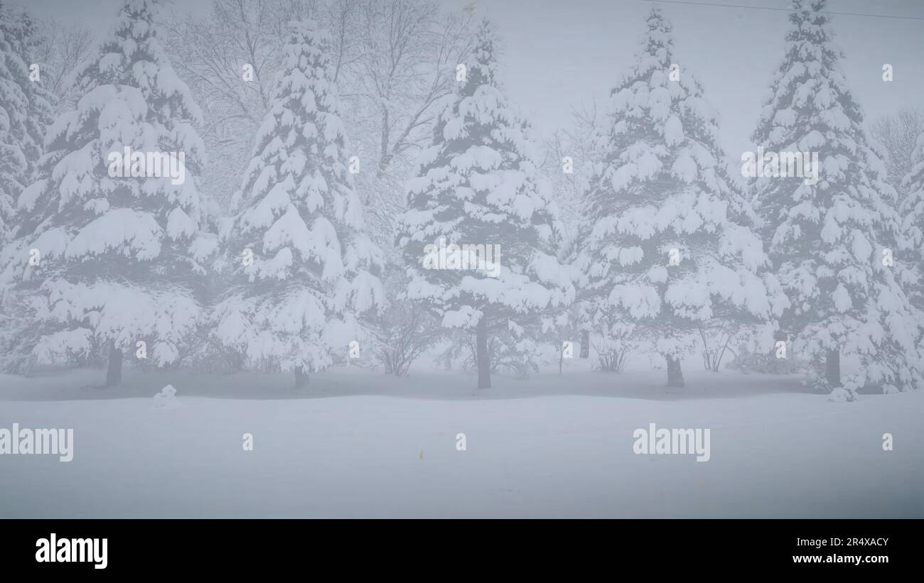 Graphic resources template slide of snowy winter trees and blue sky ...