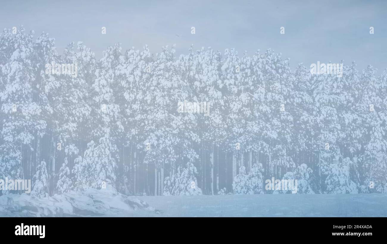 Graphic resources template slide of snowy winter trees and blue sky ...