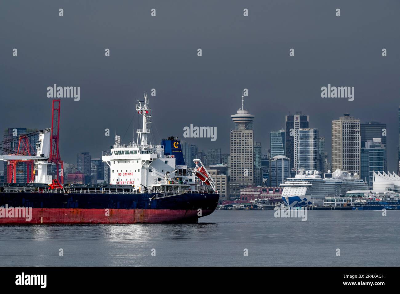 Cetus beluga hi-res stock photography and images - Alamy