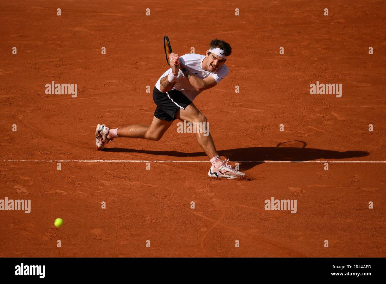 Thiago seyboth wild brazil hi-res stock photography and images - Alamy