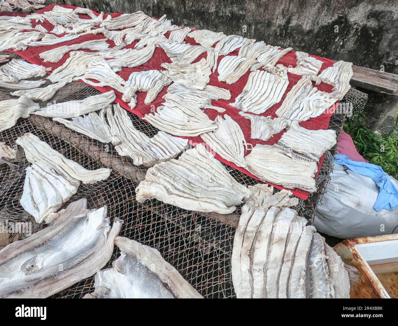 Fish drying in Livingston, Guatemala Stock Photo - Alamy