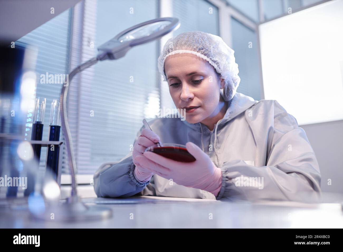 Female scientist holding petri dish while doing bio research in ...
