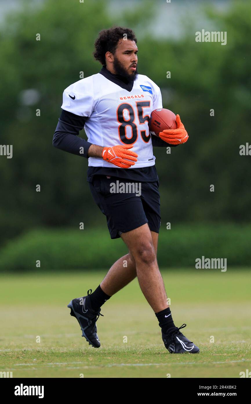 Cincinnati Bengals' Christian Trahan carries the ball after making a ...