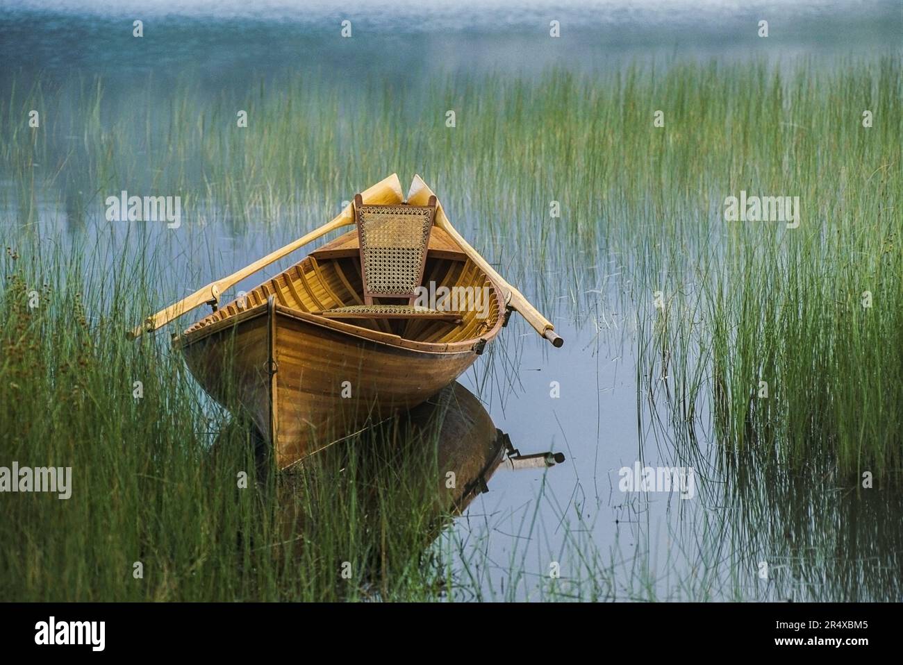 Adirondack guide canoe floating on Connery pond at sunrise in the ...